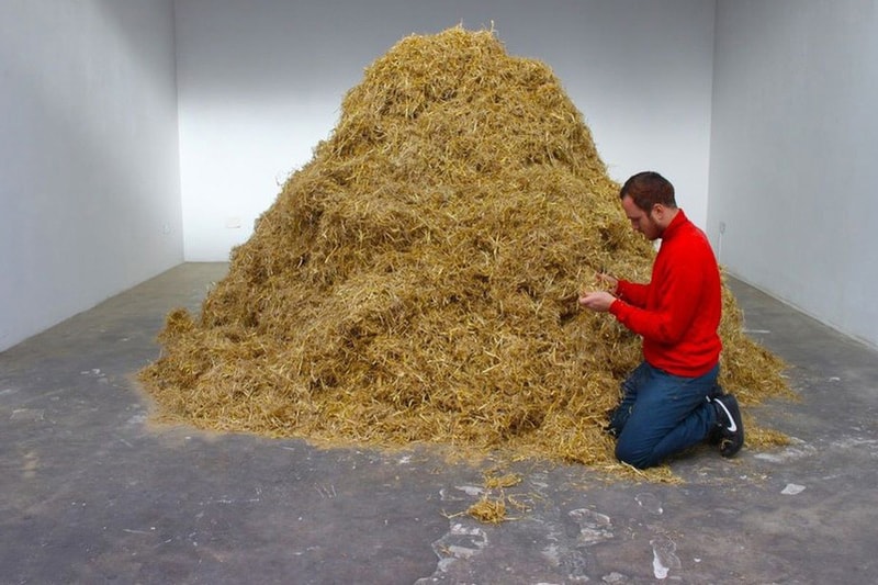A Performance Artist Spends 2 Days Looking for a Needle in a Haystack ...