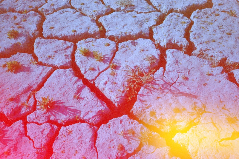 THROUGH THE LENS: Dustin Adams | Hypebeast