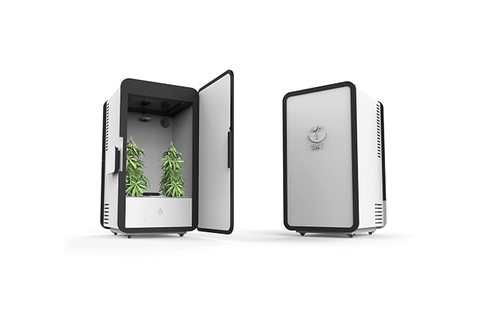 Leaf Cannabis Home Growing System Marijuana | Hypebeast