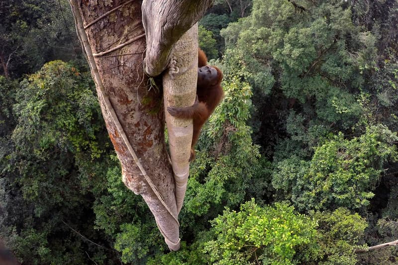 2016 World Press Photo Contest Winners | Hypebeast