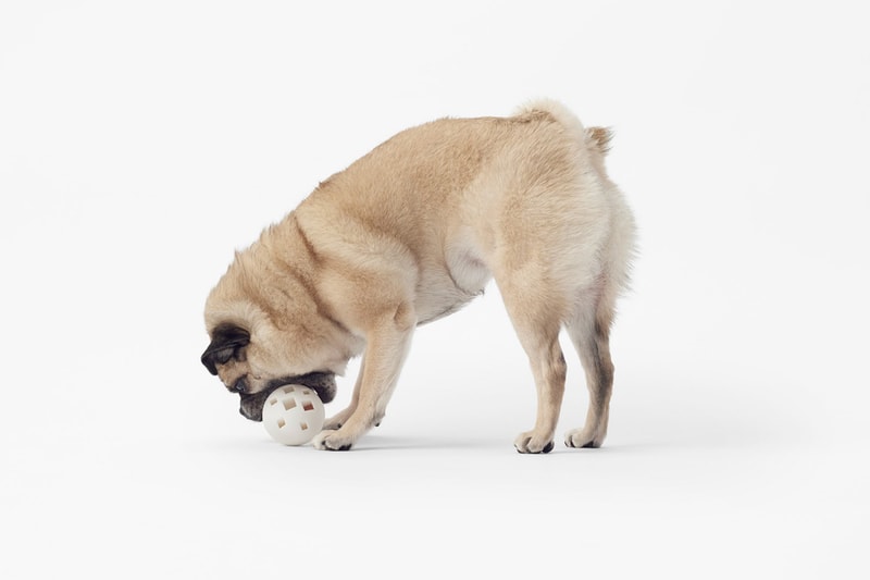 nendo Cubic Pet Goods | Hypebeast