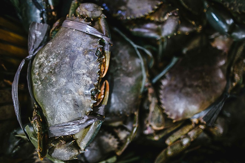 Manila Dining Guide | HYPEBEAST