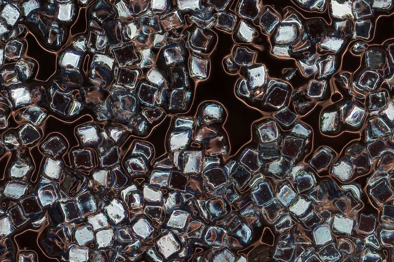 National Geographic 2016 Nature Photographer of the Year Contest ...