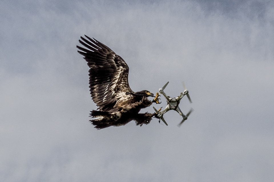 Take a Look at 'TIME' Magazine's Top 100 Photos for 2016 | Hypebeast