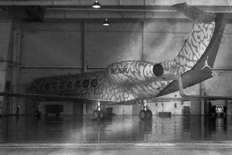 Michael Jordan's Elephant Print Jet | Hypebeast
