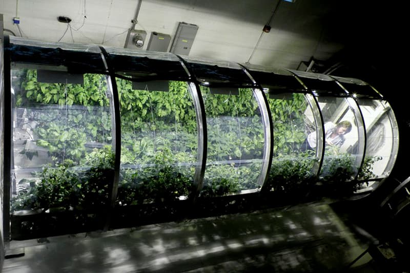 NASA Inflatable Hydroponic Greenhouse Chamber | Hypebeast