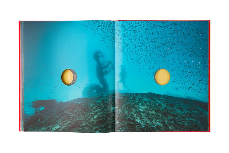 Damien Hirst "Treasures from the Wreck..." Book | Hypebeast