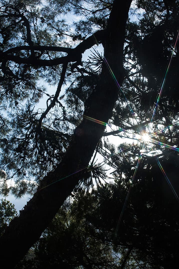 The-sirius Spring/Summer 2018 Lookbook | HYPEBEAST