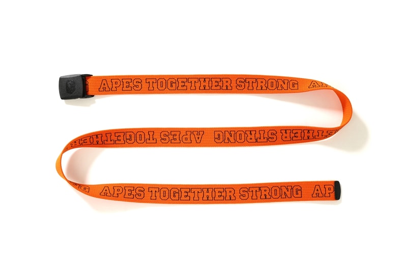 BAPE "APES TOGETHER STRONG" S/S 2018 Capsule | Hypebeast