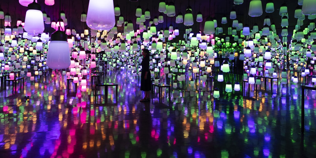 teamLab "Summer Forest" Exhibit Japan | Hypebeast