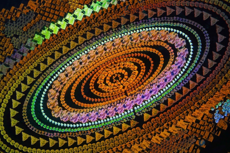 Nikon 2018 Small World Photo Competition Winners | Hypebeast