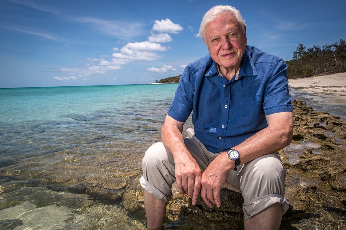 David Attenborough | Hypebeast David Attenborough | Hypebeast