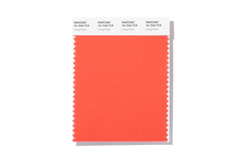 Pantone 2019 Color of the Year "Living Coral" | Hypebeast