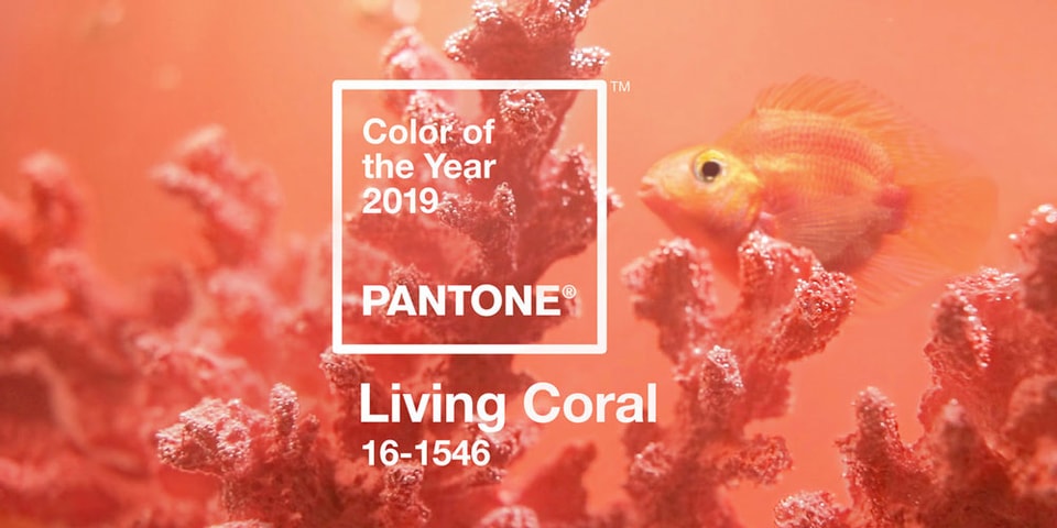 Pantone 2019 Color of the Year "Living Coral" | HYPEBEAST