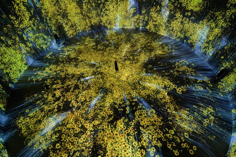 teamLab TANK Shanghai Immersive Installation | Hypebeast