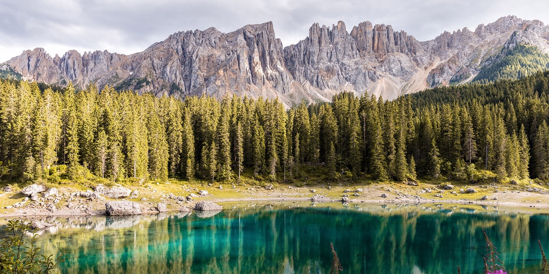 24 Earth Day Activities From Fashion Insiders | Hypebeast