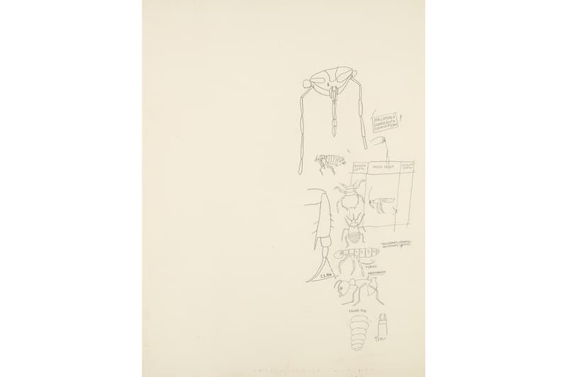 Matt Dike & Phillips Sale of Basquiat Artworks | Hypebeast