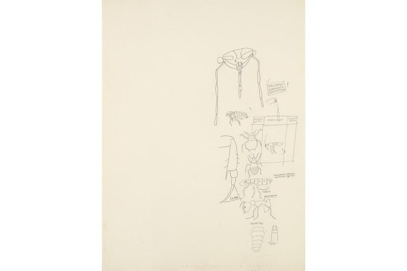 Matt Dike & Phillips Sale of Basquiat Artworks | Hypebeast