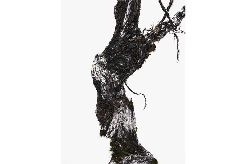 Vik Muniz 'Shared Roots' Photographs At Frieze | Hypebeast