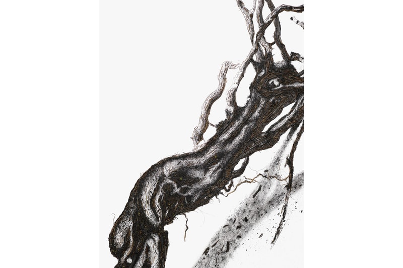 Vik Muniz 'Shared Roots' Photographs At Frieze | Hypebeast