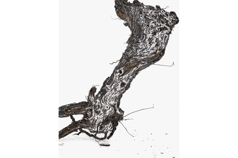 Vik Muniz 'Shared Roots' Photographs At Frieze | Hypebeast