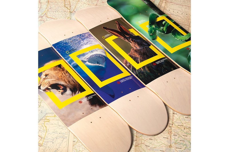 National Geographic x Element FW19 Collection | Hypebeast