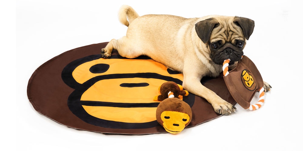 Baby Milo Pet Collection Spring/Summer 2019 | Hypebeast