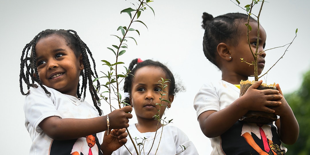 Ethiopia Plants 353 Million Trees in 12 Hours | Hypebeast