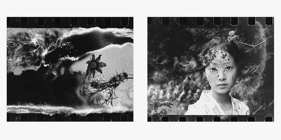 Nobuyoshi Araki 'The Araki Effect' Book by Skira | Hypebeast