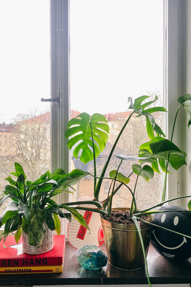 Caliroots Staff Share Their Work From Home Style | Hypebeast