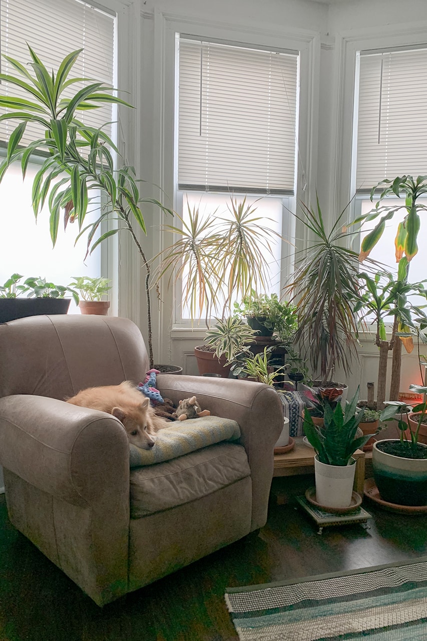 Work From Home Style Advice 18 East Interview | Hypebeast