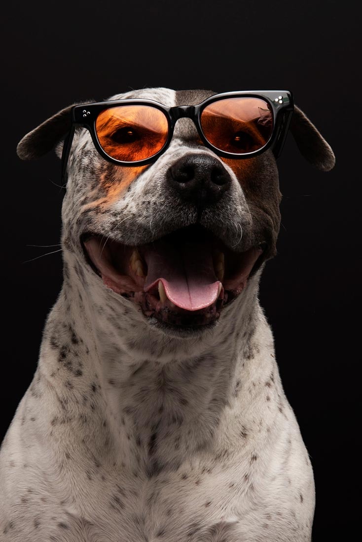 HUF x AKILA Drops Limited Edition Sunglasses | Hypebeast