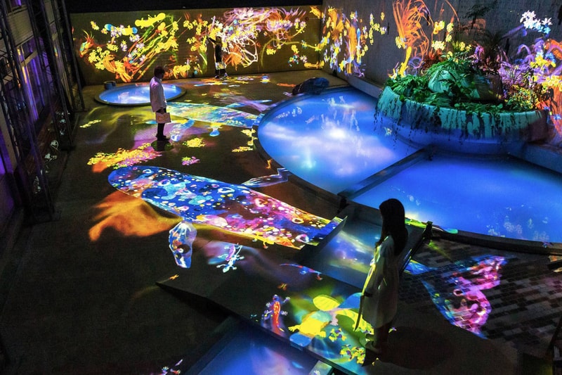 teamLab Annual Outdoor Exhibition in Japan | Hypebeast