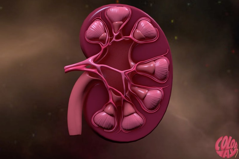 Anthony Bright 'A Bright Future' VR Kidney Donor | Hypebeast