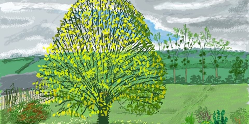 David Hockney iPad Drawings of Hope | Hypeart
