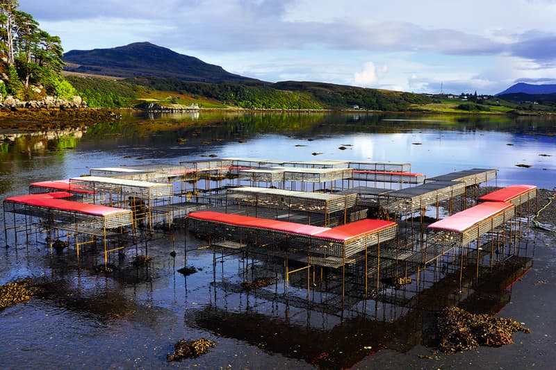 Phaidon 'Radical Architecture of the Future' Book | Hypebeast