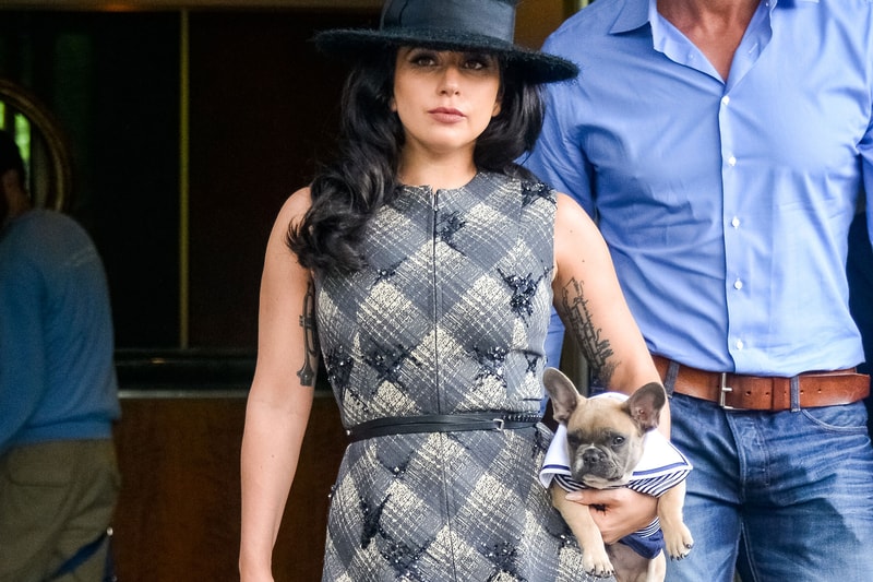 Five Suspects Arrested in Lady Gaga Dognapping Case | Hypebeast Five Suspects Arrested in Lady Gaga Dognapping Case | Hypebeast