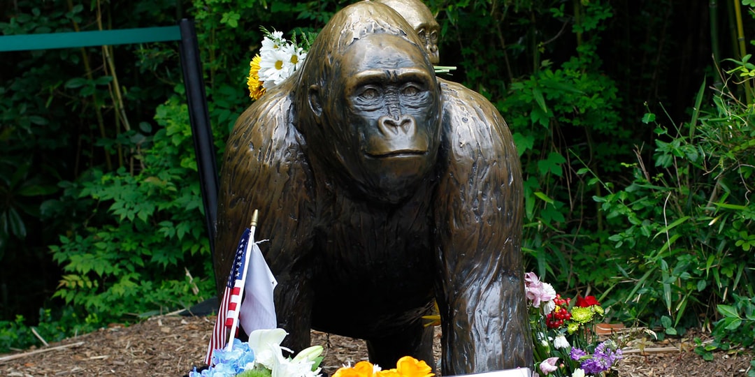 Harambe Photo to be Sold As NFT | Hypebeast