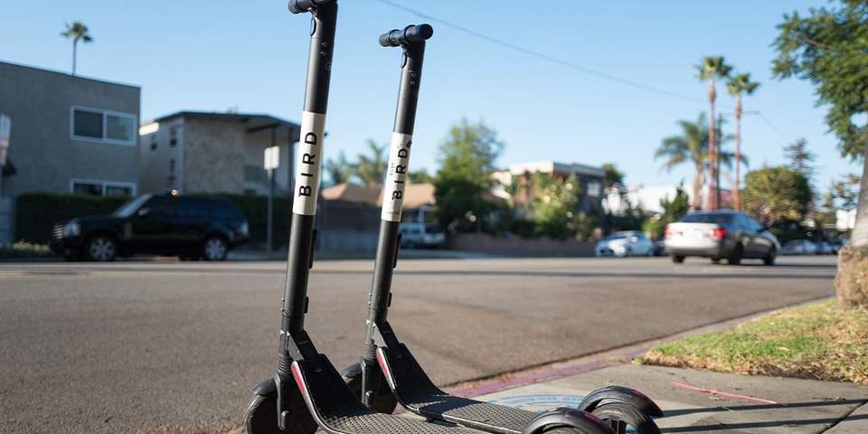 Bird Reportedly Planning to Go Public via SPAC | HYPEBEAST