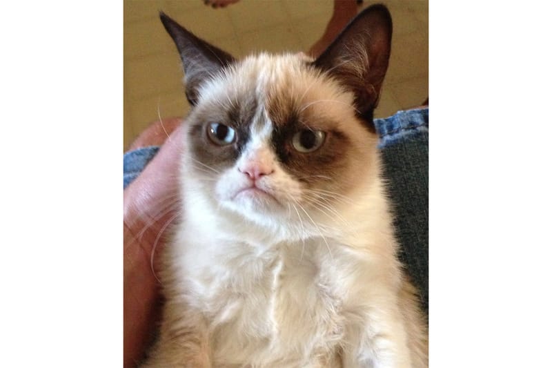 Meme Non-Fungible Tokens Auction Roundup Info | Hypebeast