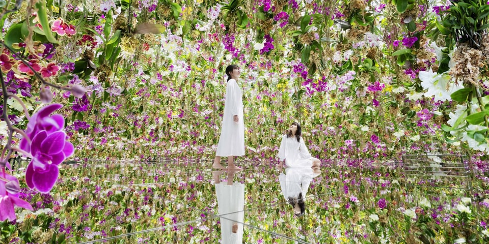 teamLab Floating Flower Garden Tokyo Exhibition | Hypebeast