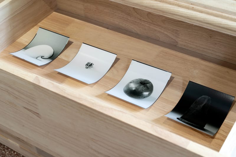 THE SHOPHOUSE 'POMODORO' Joy BC Chris Rhodes Exhibit | Hypeart