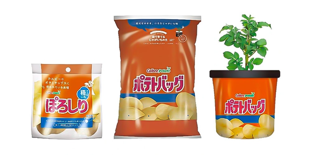 Calbee Seed Potatoes, Potato Bag Release Info | Hypebeast