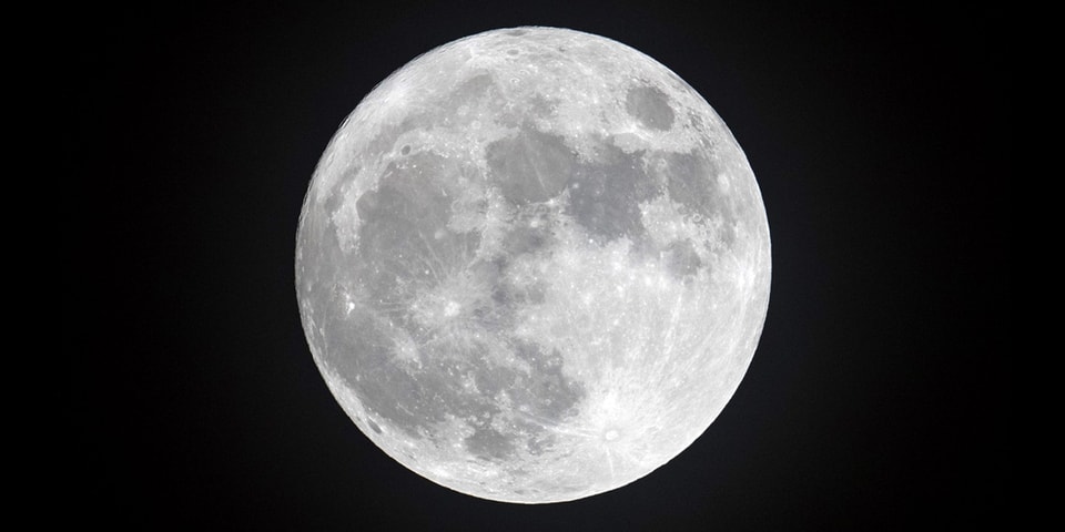 "Jeff Koons: Moon Phases" Moon Sculptures NFT Art | Hypebeast