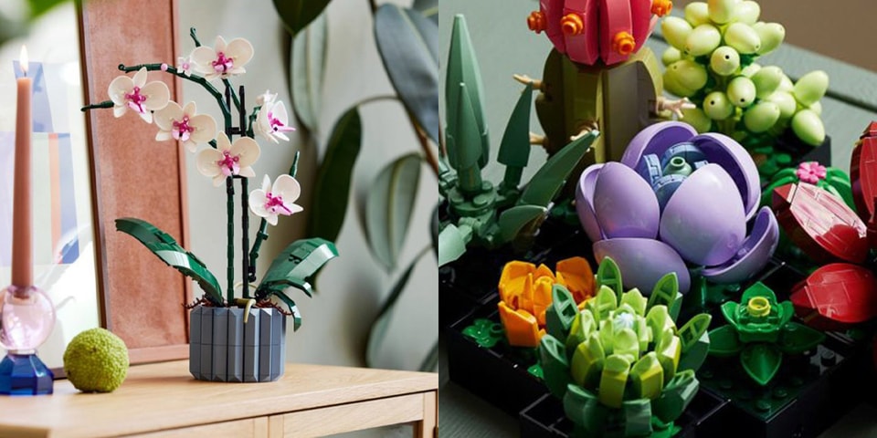 LEGO Creator Expert Botanical Collection Orchid, Succulents Teaser ...