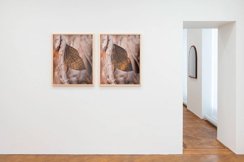 Ben Hunter Gallery 'Mimicries' Art Exhibition London | Hypebeast