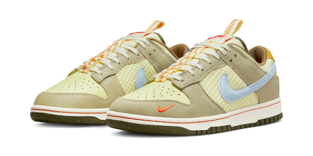 Nike Presents Its New Dunk Low Cartoon Details | Hypebeast