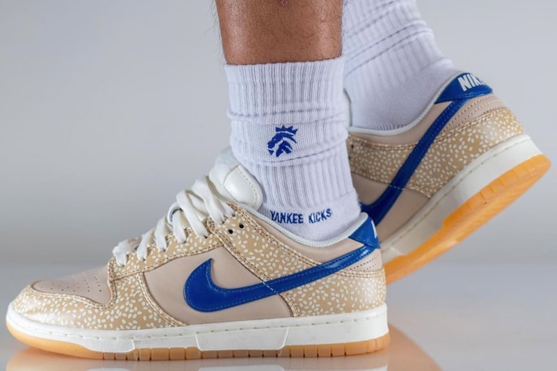 On-Feet Look at the Nike Dunk Low "Sesame" | Hypebeast