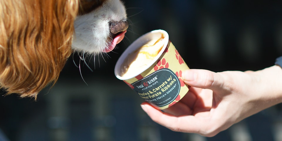 Salt & Straw Ice Cream Pup Cups Release | Hypebeast