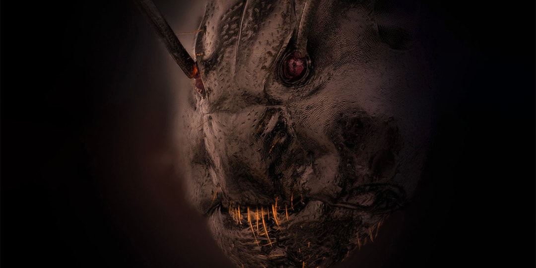 Dr Eugenijus Kavaliauskas Scary Ant Macro Photograph Hypeart
